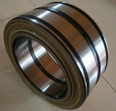 China SL045028-PP double row full complement cylindrical roller bearing,sealed bearing for sale