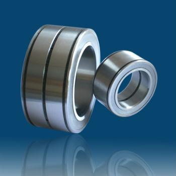 China SL045020-PP double row full complement cylindrical roller bearing,sealed bearing for sale