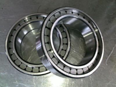 China SL182964 single row full complement cylindrical roller bearing for sale