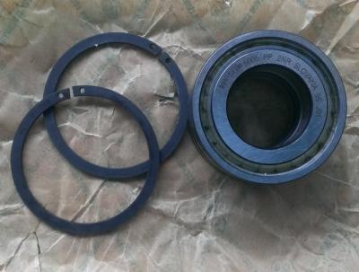 China SL045005-PP.2NR double row full complement cylindrical roller bearing,sealed bearing for sale