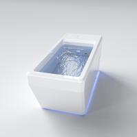 China Freestanding Electric Bath Tub Chiller Water Chillers For Ice Bath High Efficiency for sale
