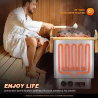 China Modern 220V Portable Sauna Heater Wet Dry Sauna Heater For Indoor for sale