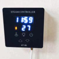 China Freestanding Acrylic Sauna Heater Kit 3kw-24kw For Wet Steam for sale