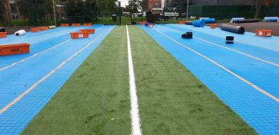 China Artificial Grass Shock Pad Underlay 8-30mm Thickness with 20-Year Warranty for Sports Fields for sale