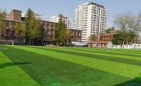 China Eco Friendly TPE Rubber Granules 2-4mm for Artificial Grass Infill UV Protection Non Toxic for sale