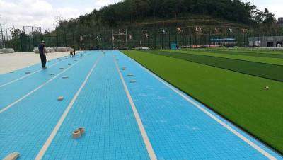 China FIFA Standard Artificial Grass Shock Pad Underlay 8-30mm Thickness with 20-Year Warranty for Sports Fields for sale