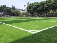 China TAIHUI T10R/T15R TPE Rubber Infill Granules for 40mm 50mm 60mm Synthetic Turf Sports Fields EN15530-5 Compliant for sale