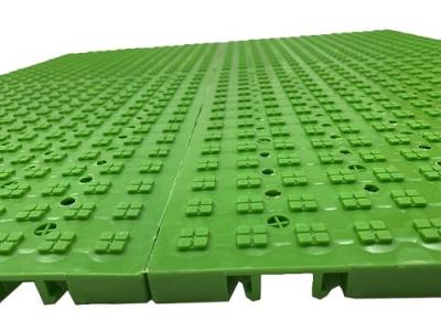 China Rubber Basketball Court Tiles 17.1mm Elastic Base with Shock Absorption and Drainage for Sports Fields for sale