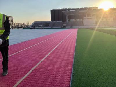 China 10mm Shock Pad Artificial Grass Underlay for Football Baseball Hockey Rugby - FIFA 2024 Compliant EN15530-4 Certified for sale