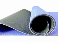 China TPE Yoga Exercise Fitness Mat 6mm Thick High Density Non-Slip Workout Mat for Yoga Pilates for sale