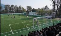 China Foam Shock Pad Underlay for Artificial Grass - 10mm Thickness with Superior Shock Absorption and Ball Rebound Performance for sale