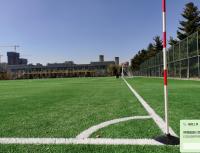 China 8-15mm Polyethylene Shock Pad Underlay for Artificial Turf Soccer Fields - 30-90kg/m³ Density, 1.5m Width for sale