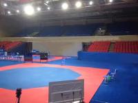 China Interlocking Shockproof Martial Arts Mat For Taekwondo Training for sale