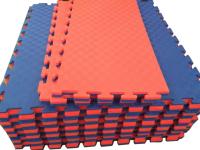 China Interlocking Shockproof Martial Arts Mat For Taekwondo Training for sale