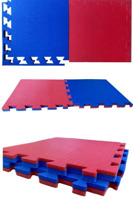 China Interlocking Shockproof Martial Arts Mat For Taekwondo Training for sale