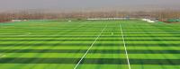 China 16800 Density Eco Friendly Artificial Grass 30mm 50mm Outdoor Turf for Sport Field for sale