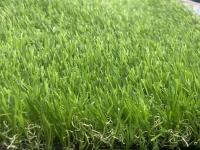 China Outdoor Sports Artificial Turf 30mm Pile Height 21000 Density Green Carpet with Drainage Holes for sale