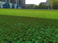 China PE Foam Shock Pad 96m x 1.5m for Artificial Grass Soccer Rugby Hockey Field for sale