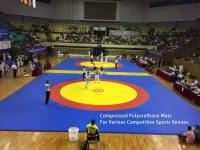 China IJF Certified Judo Mat 230kg/m3 Density 40mm Thickness PU Leather Karate Training Mat for sale