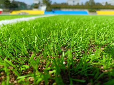 China Natural Eco-Friendly Cork Infull Granules Non-Toxic Environmental Material For Artificial Grass for sale