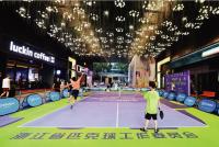 China 2mm/2.5mm/3mm Thickness Pickleball Flooring Full Roll Vinyl Sports Flooring for sale