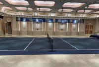 China Vinyl Sports Flooring 2mm/2.5mm/3mm Thickness Pickleball Flooring Full Roll Multi-purpose for sale