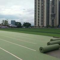 China 20mm Crosslinked PE Foam Shock Pad for Artificial Turf - UV Protection for Football, Baseball, Soccer Fields for sale