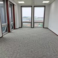 China Custom Printing High Pile Nylon Carpets for Modern Design Style Hotel Benefit for sale