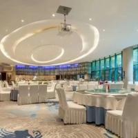 China Custom Luxury Designer Wool Hand Tufted Living Room Carpet For Cut Pile Commercial Room for sale