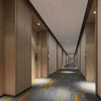 China High Pile MACHINE MADE Custom Printing Carpets in Modern Design for Hotel Buyers for sale