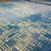 China PRAYER Wilton Axminster Carpet Wall to Wall Hotel Carpet 7mm 8mm 9mm 10mm 11mm 12mm for sale