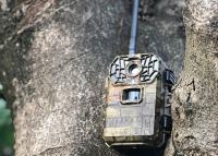 China 4G Wireless Outdoor Wildlife Video Camera 16Mp Mini Hunting Camera for sale