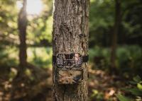 China Forestcam Wildlife Hunting Trail Camera Rugged Construction Stealthy Design for sale