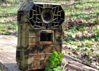 China Wild Game Deer Scouting Cameras Mini Wireless Tree Cameras For Hunting for sale