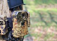 China 138*105*70 Mm 4G Wireless Game Trail Cameras Stealth Cam Trail Camera for sale
