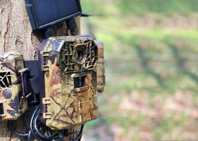 China 138*105*70 Mm 4G Wireless Game Trail Cameras Stealth Cam Trail Camera for sale