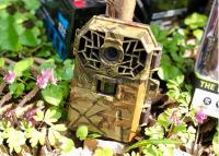China 3G Email Wireless Hunting Trail Cameras 0.7s Trigger Speed 16MP 1080P Image Resolution for sale