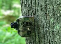 China Small Night Vision Hunting Camera Waterproof IP66 Hidden Type TF Card 32GB for sale