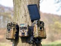 China Infrared IR LED Time Lapse Hunting Trail Camera 10MP AA Batteries for sale