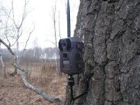 China Black 360 Degrees Rotation Mounting Bracket Hunting Accessories Tree Screw for sale