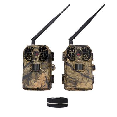 China 1080P 0.35mA 0.15S Time Lapse Trail Camera 4G Lte Remote Control  IP66 for sale