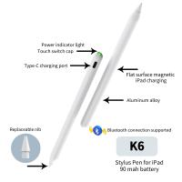 China Portable Stylus Pen 15g Travel Light Magnetic Charge Tilt Palm Rejection Bluetooth Battery Display iPad Pencil Wholesale for sale