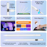China P13 Digital Pen for iPad Air M2 M3 Pro 11 12.9 Mini 5th 6th iPhone Duo Bluetooth Battery Display Low Latency Graphic Design for sale