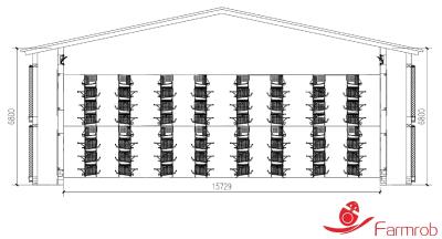 China Cage-Free-L Automatic Egg Collection System for 80,000 Birds - Elevated Poultry Housing with Multi-Level Perches for sale