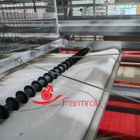 China Automatic Poultry Manure Removal System for Breeder Chicken Battery Cage - 4800mm Length, 7mm Belt Thickness for sale