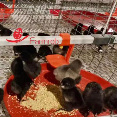 China 3-8 Tier Poultry Battery Cage System with 1800mm Length and 700mm Layer Height for 33 Birds per Cage for sale