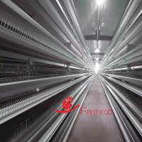 China Automatic 3 Tier 6 Tiers Quail Cage System 1800mm Length 625mm Depth for High-Efficiency Poultry Farming for sale