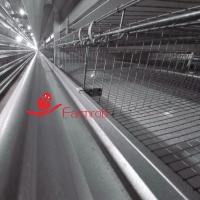 China Automatic 3 Tier 6 Tiers Quail Cage System 1800mm Length 625mm Depth for High-Efficiency Poultry Farming for sale