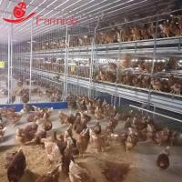 China 3-Tier Welfare Cage-Free System for Laying Hens - Space Maximization Design with Enhanced Animal Welfare Standards for sale