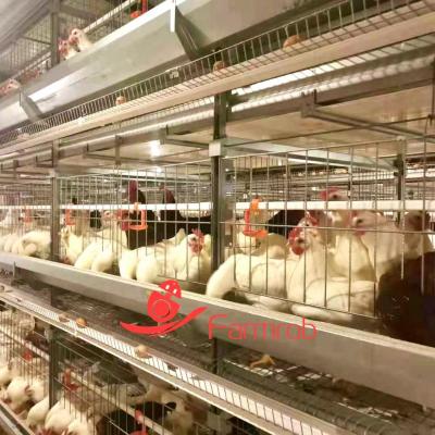 China Mg-Al-Zn Alloy Poultry Battery Cage System 3 Tiers Large Spacing Breeder Equipment for Natural and Artificial Breeding for sale